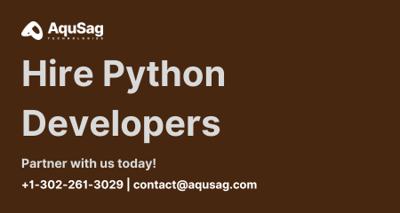 Hire Professional Python Developer for Custom Solutions